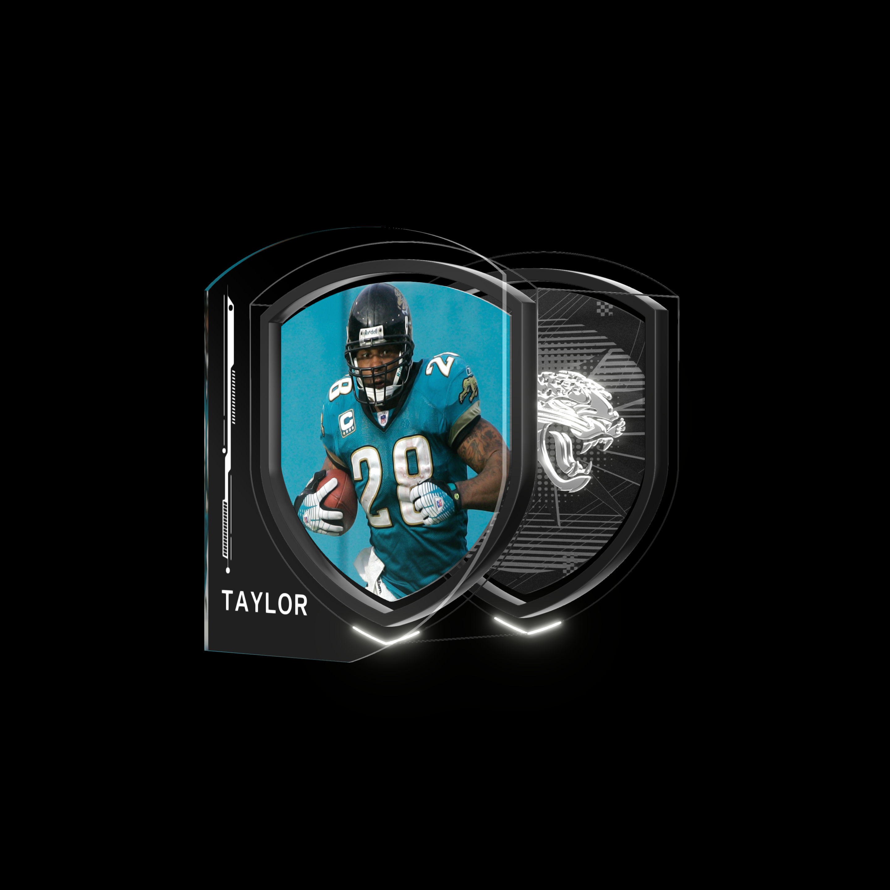 Fred Taylor Rush #806 | NFL ALL DAY